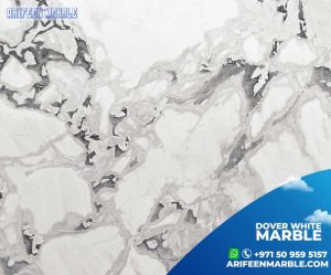 Dover White Marble - Arifeen Marble